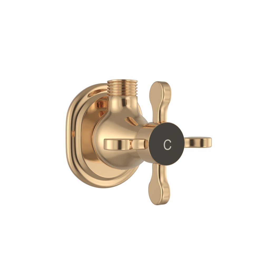 Auric Gold Color Angle Valve by Queens Prime in Sri Lanka | Jaquar
